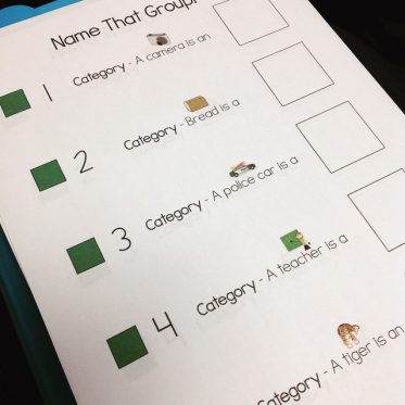 Categories, Describing, & More: Speech Therapy | Speechy Musings