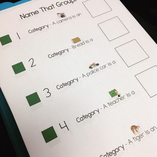 Categories, Describing, & More: Speech Therapy | Speechy Musings