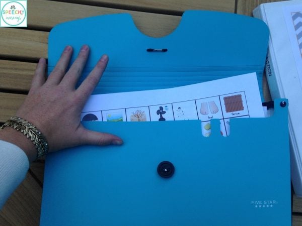 SLP Data Collection Techniques and Organization.