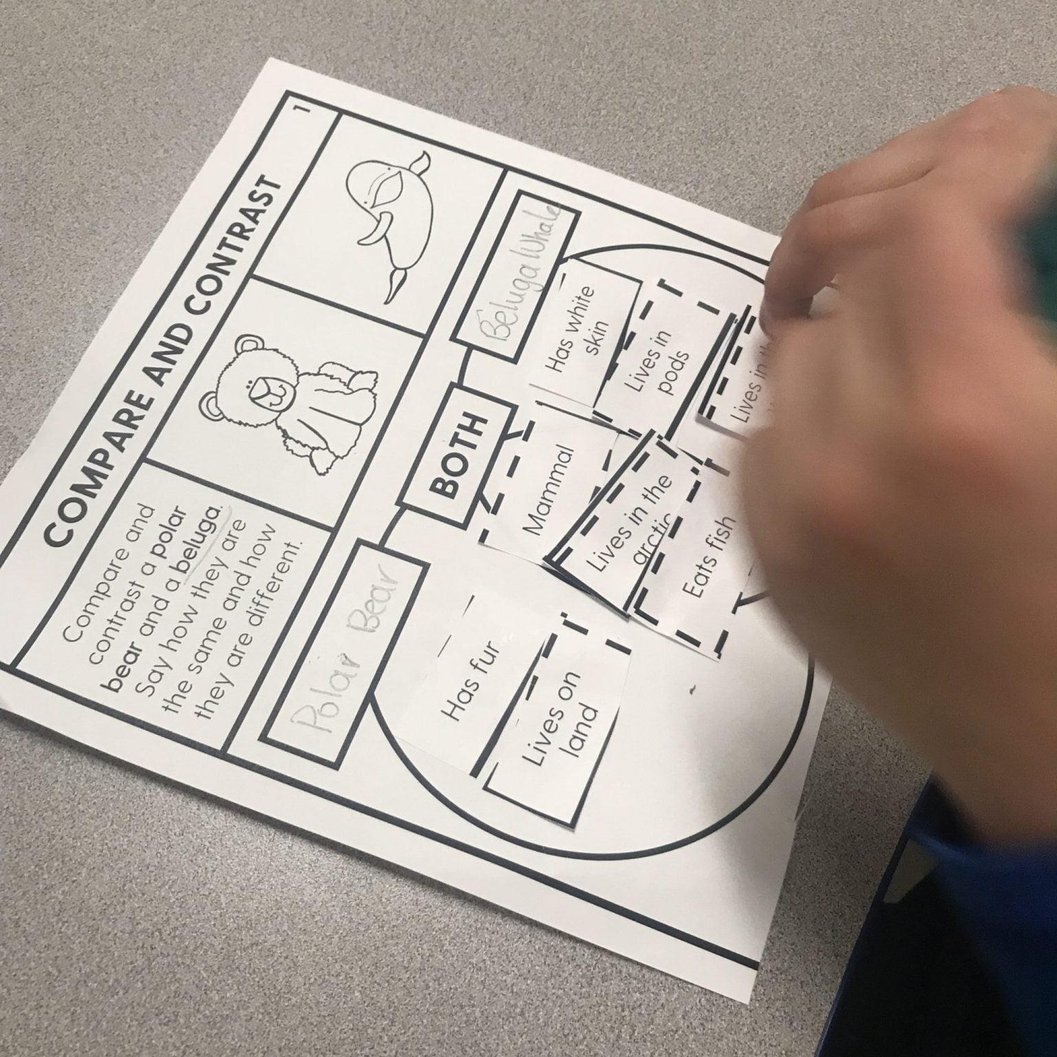 Speech Therapy Compare and Contrast Activities | Speechy Musings