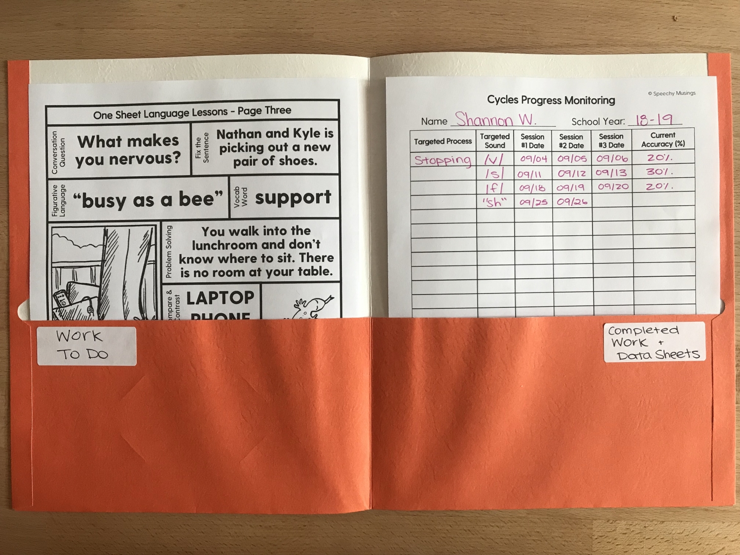 Student Folders: Tips and Ideas for SLPs.