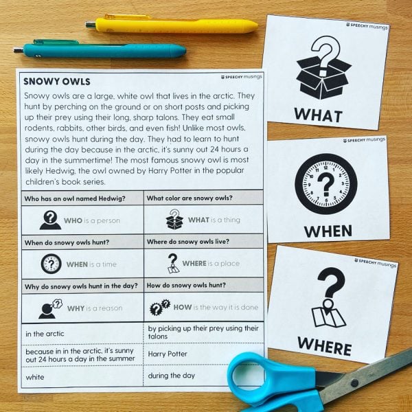 WH Questions | Speechy Musings