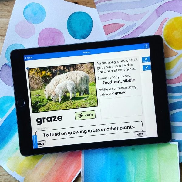 Yes and No Questions for Speech Therapy | Speechy Musings