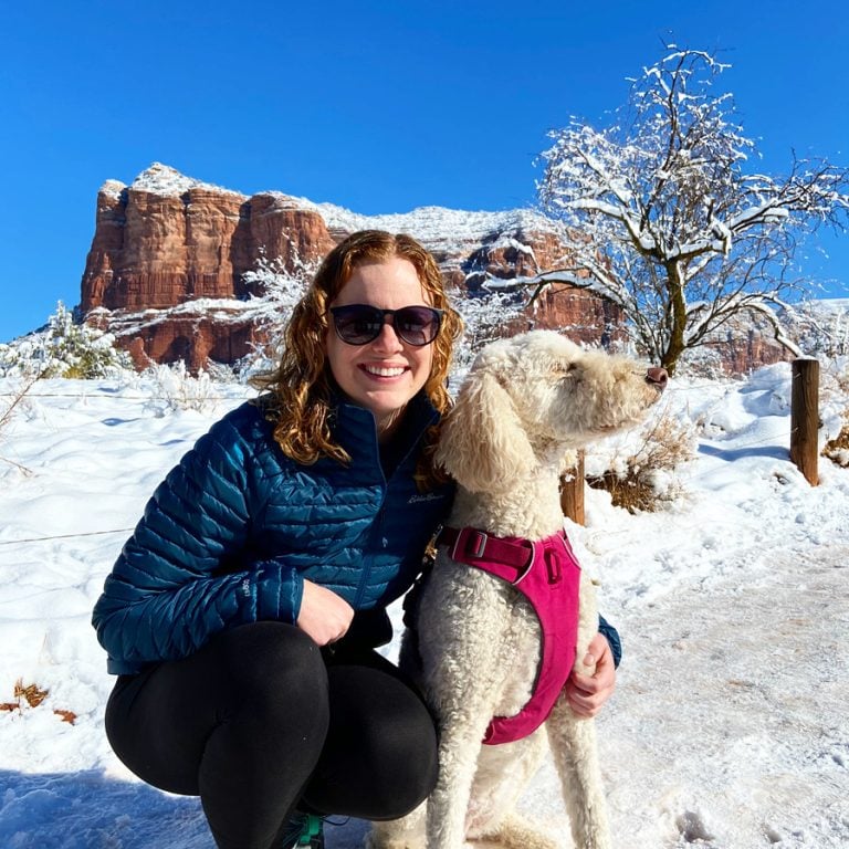 Summarizing (Main Idea + Details) | Speechy Musings