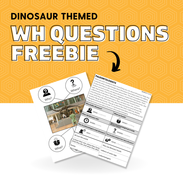 WH Questions | Speechy Musings