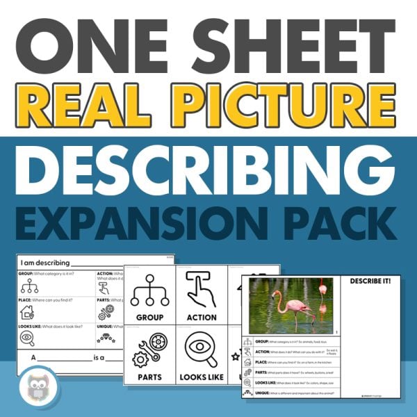 Describing | Speechy Musings