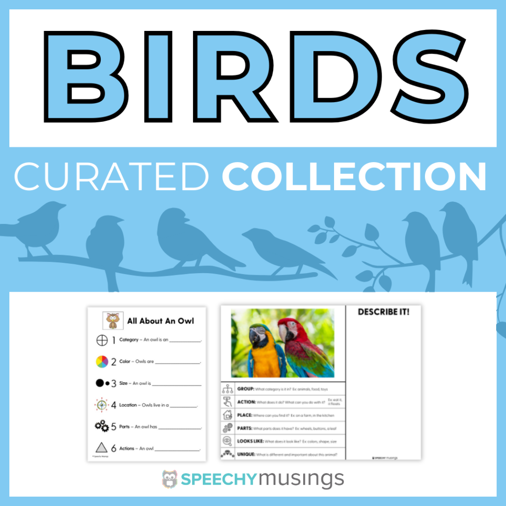 Birds | Themed Language Unit | Speech Language Therapy.